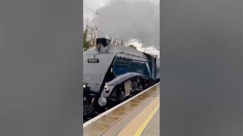 මෙවන් වාෂ්ප එන්ජිමක් මින් පෙර දැක තිබේද ඔබගේ අදහස කියන්න Youtube