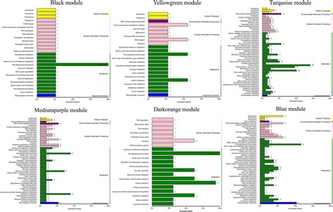 Kegg Functional Classification Of Degs In Different Modules Of Wgcna