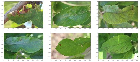 The Evolution Of Mobile Cnn Architectures Mobilearchitectures Weights And Biases