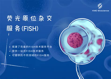 文献解读：荧光原位杂交（fish） 知乎