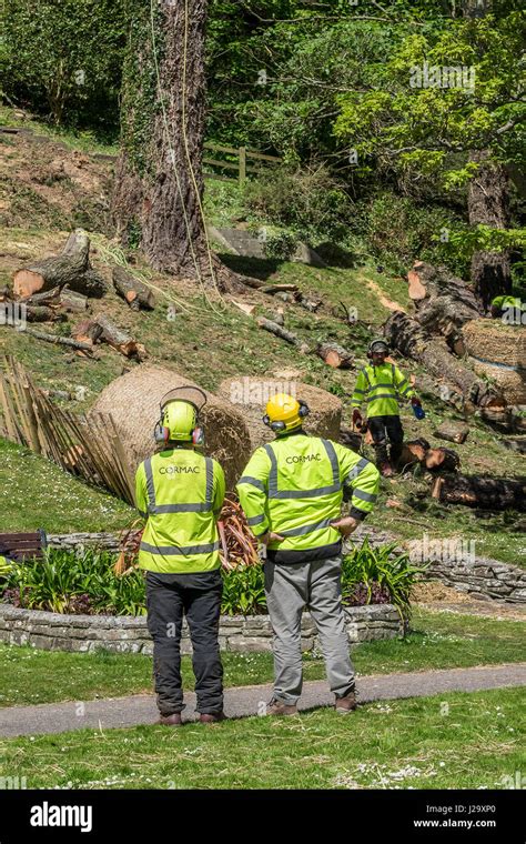 Arboriculturalist Tree Surgeon Climbing Tree Rope Ropes Roped Safety Harness Manual