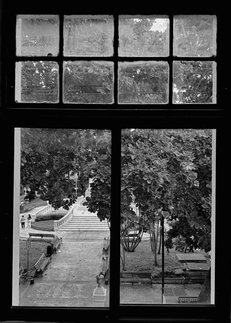 가로장 거리 건축 경치 경치가 좋은 계단 고요함 공원 구성 그림자 나무 나무 캐노피 도시 경관 도시 공원 무료 사진 미니멀리스트 백라이트 사진