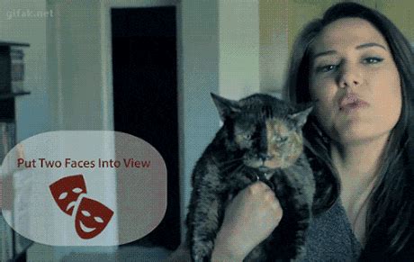 Funny Humor Gif Wifflegif