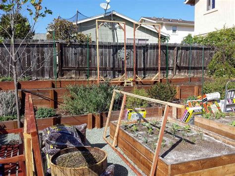 How To Build A Trellis Inexpensive Easy Designs Homestead And Chill