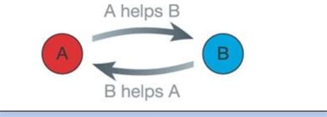 Evolutionary Test 4 Flashcards Quizlet