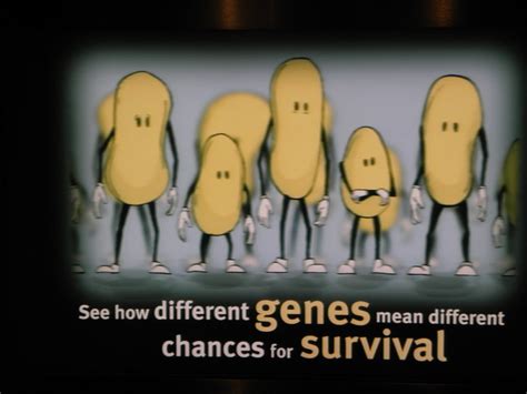 Why Sexual Reproduction Is Better Field Museum Evolving P Flickr