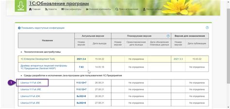 Как скачать и установить Liberica Jdk для 1С Владимир Скворцов Дзен