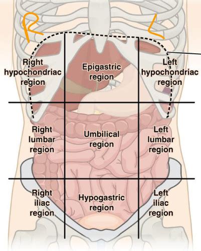 Health Science Ch1 Intro Flashcards Quizlet