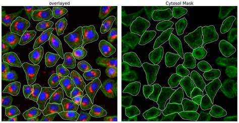 Different Segmentation Workflows — Scportrait