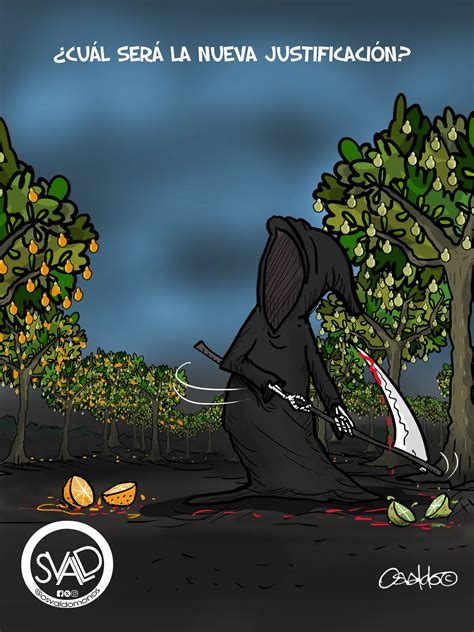 Así Es El Derecho Diferencia Entre Litis Abierta Y Cerrada El Sol