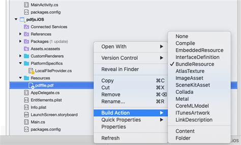 Open Local Pdf File From Embedded Resources On Ios And Android · Issue