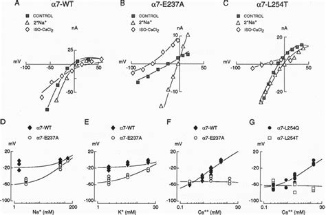 Comparison Of The Ionic Selectivity Of The WT And Two Mutants A C Download Scientific