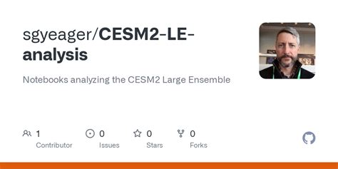 github sgyeager cesm2 le analysis notebooks analyzing the cesm2
