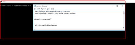 Node Package Manager Tutorial Step By Step