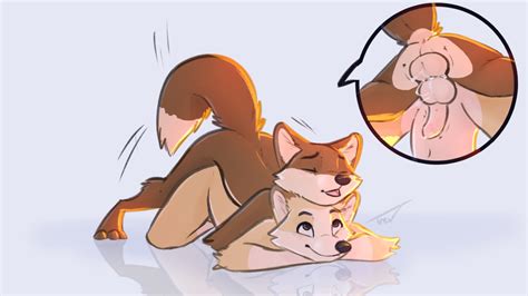 Rule 34 169 Anal Anal Sex Anthro Anus Balls Bodily Fluids Canid