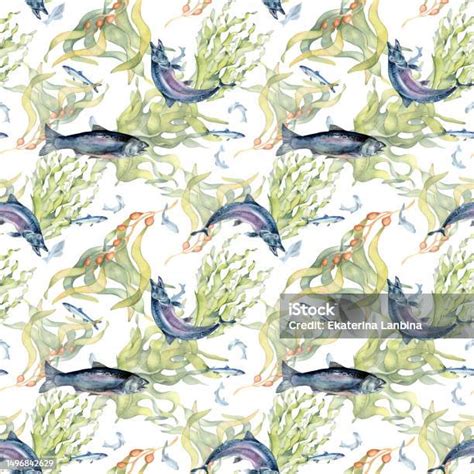 연어와 바다 식물의 매끄러운 패턴은 흰색으로 분리된 수채화입니다 야생 물고기 해초 Laminaria 손으로 그린 섬유 포장 종이 포장 배경 수산 시장을 위한 디자인 요소