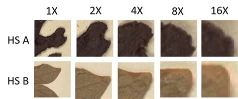 Image Resolution And Scaling Comparison Hs A Fragments Correspond To
