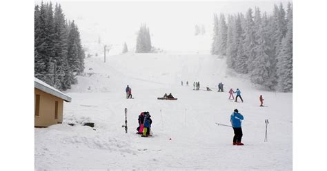 Скиор изскочи от пистата и се удари в дърво