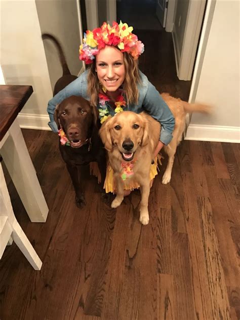 Hawaiian Pups Pup Labrador Retriever Labrador