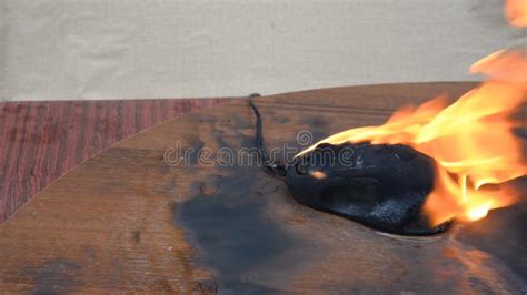 A Computer Mouse On Fire On A Black Surface Stock Footage Video Of Flying Burn 339834288