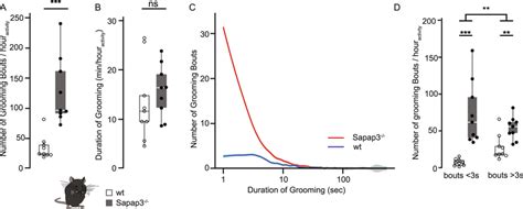 Short Single Phase Grooming Events Are More Exaggerated Than Syntactic Download Scientific
