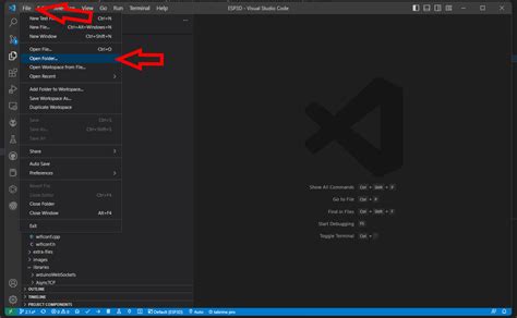 Vscode And Platformio