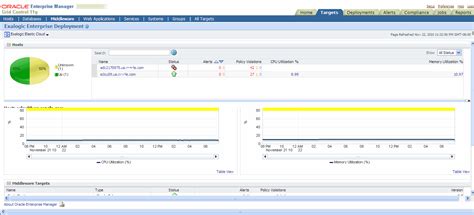 Monitoring The Topology Using Oracle Enterprise Manager Grid Control