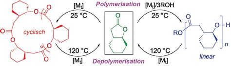 Living Coordination Polymerization Of A Six‐five Bicyclic Lactone To