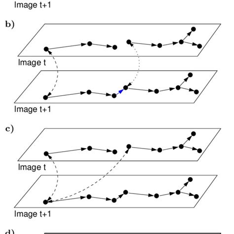 Merge Conflict Which Can Be Automatically Handled By Rhizotrak Images