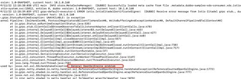 Dubbo Xds Is Not Work In 3 2 0 Issue 10903 Apache Dubbo GitHub