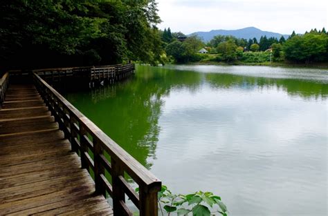 土田池富山県富山 水辺遍路