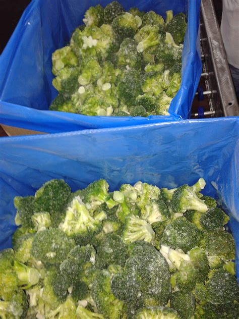 Broccoli Good Harvest