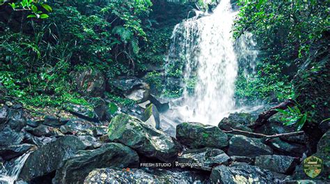 Thngai Thmei Adventure Added A Thngai Thmei Adventure