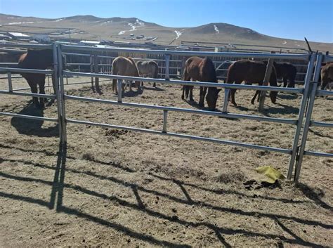 малын хашаа Facebook