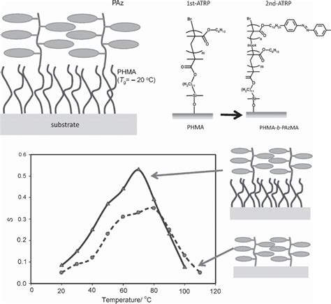 Surface Grafted Side Chain Azobenzene Liquid Crystal Lc Polymers With Download Scientific