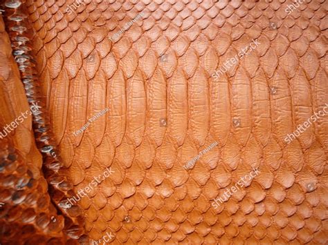 Texture Of Exotic Skin The Skin Of A Python A Snake Is Red Orange