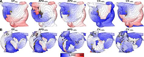 activation maps following the same convention as fig 4 highlighting