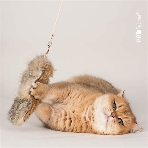 Fox Lure Attachment Natural Cat Toy Made From Real Fox Fur