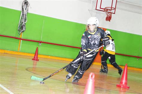 اسکیت هاکی آکادمی اسکیت