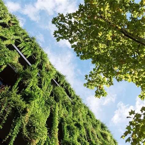 Calwer Passage Winners Dezeen Awards 2024