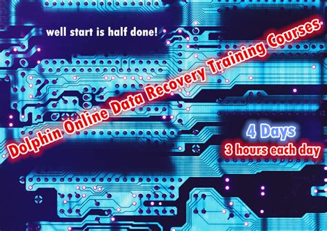 dolphin online data recovery training dolphin data lab