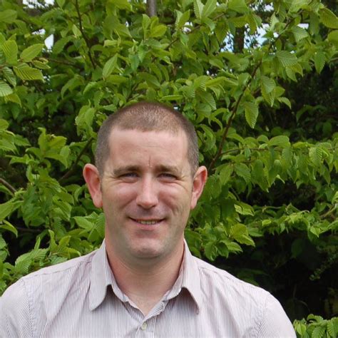 callaghan electrical straffan