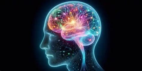 Definition And Meaning Of Cognitive Example Synonym And Antonym