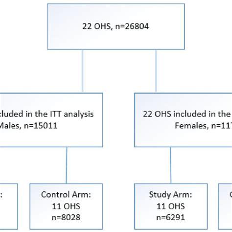 Flowchart Of The Trial Randomization Download Scientific Diagram