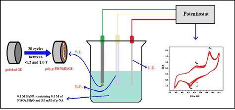 Schematic Illustration Of The Electropolymerization Of Ge Download Scientific Diagram