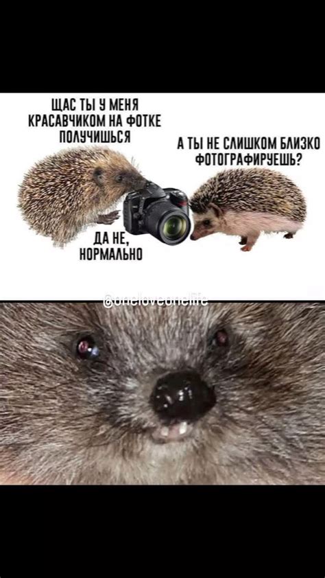 Oneloveonelife098 лайки юмор врек топ прикол шутки новые