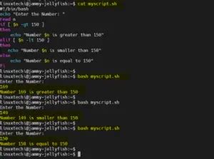 How To Use If Statement In Bash Scripting