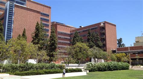Ucla Center For Health Sciences Langan