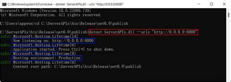 Running Web APIs On Kestrel PowerServer 2022 Help