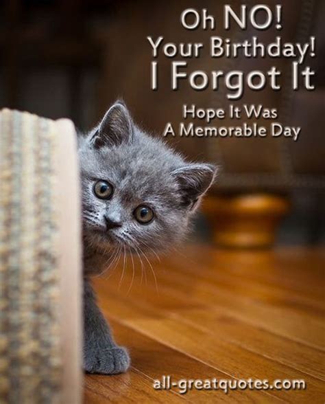 Happy Belated Birthday Cute Cats Kittens Cutest Grey Kitten